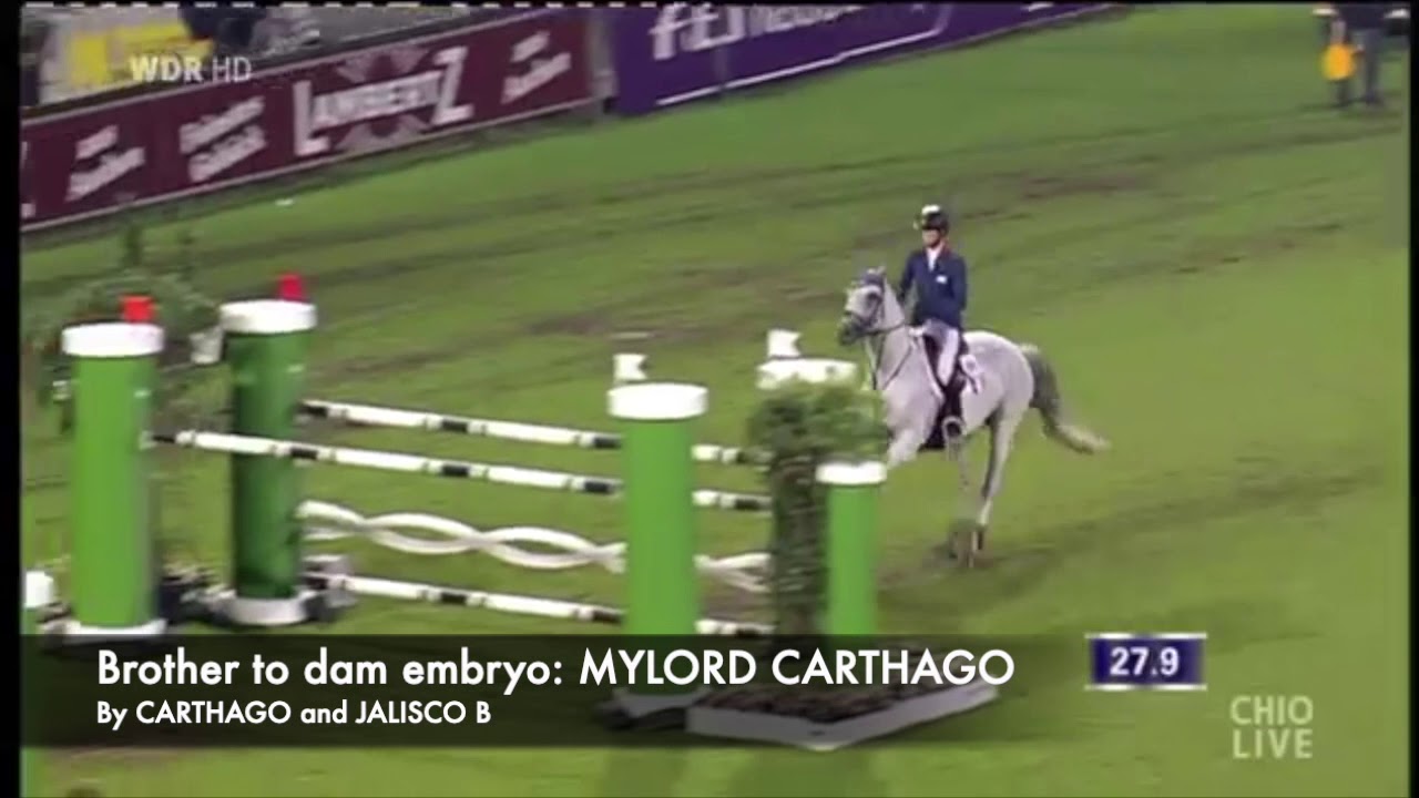 Fragance de Chalus and WBFSH Nr.1 - YouTube