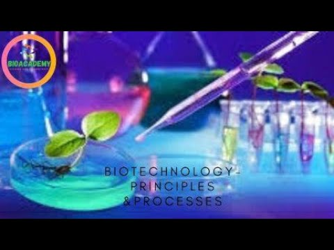 Class-12th Biotechnology- principles & process Lecture- 1 - YouTube