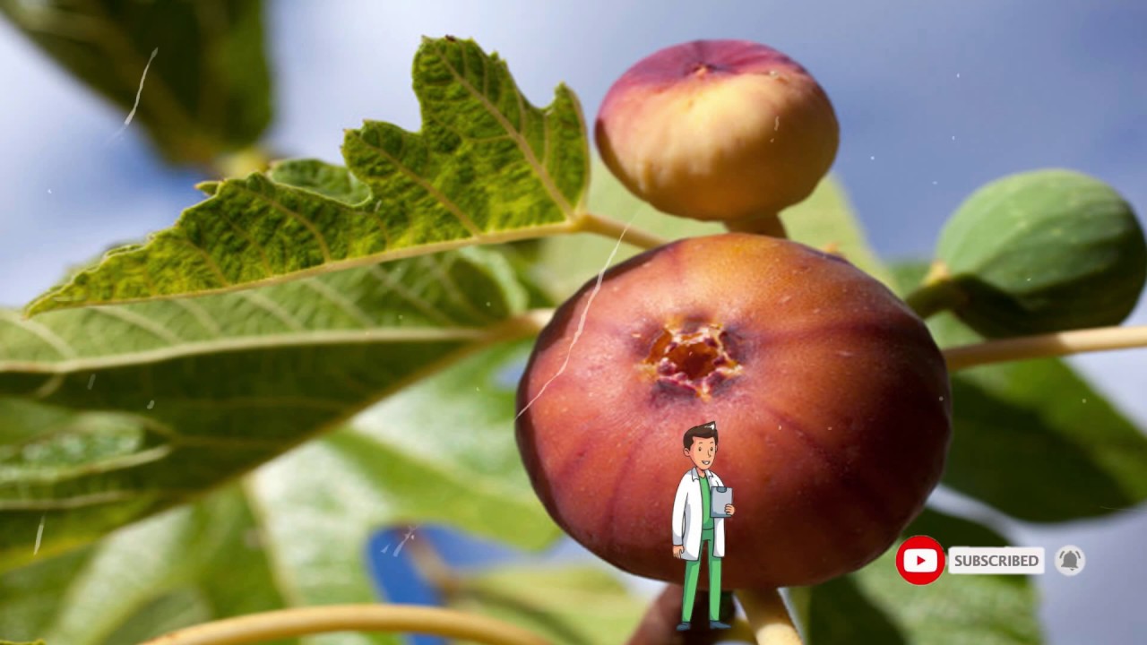 Kuroni veshkat, stomakun dhe përmirësoni shëndetin e trupit tuaj vetëm ...