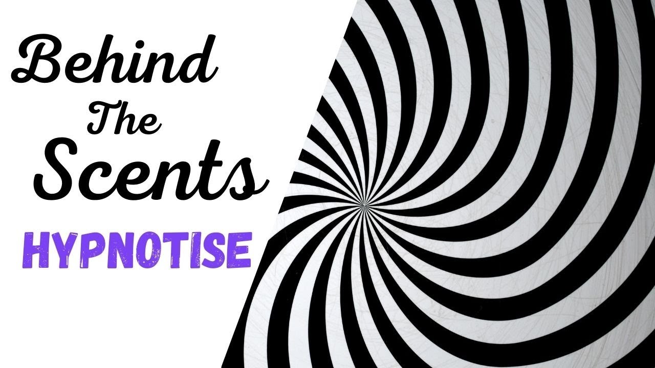 BEHIND THE SCENTS #2 - Hypnotise Wax Melt | Teddy Eva Scents - YouTube