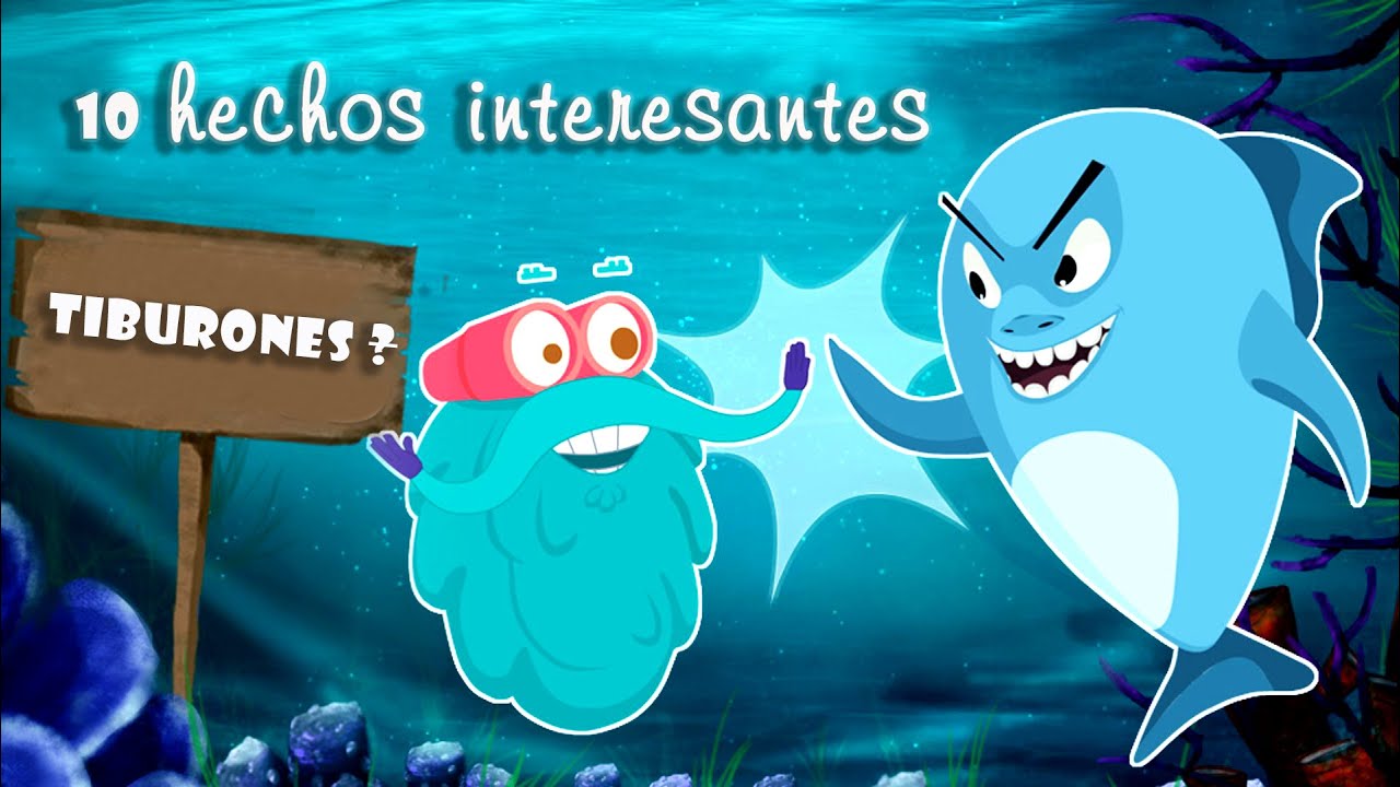 Tiburones y 10 hechos interesantes | Dibujos Animados - YouTube