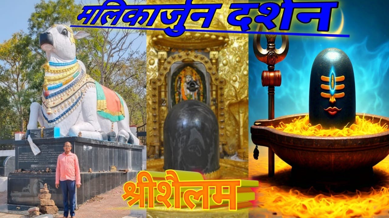 मलिकार्जुन ज्योर्तिलिंग दर्शन | shree selam andhra pradesh #shivling # ...