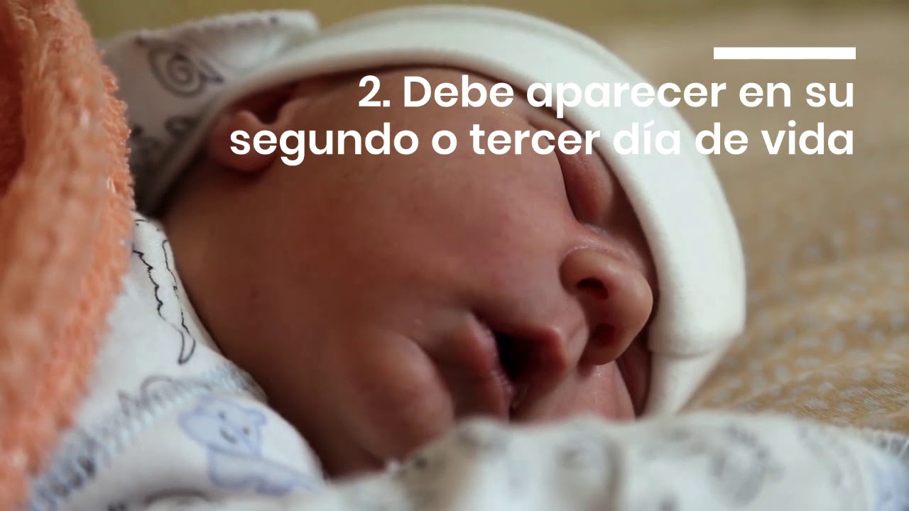 La ictericia en el bebé recién nacido - YouTube