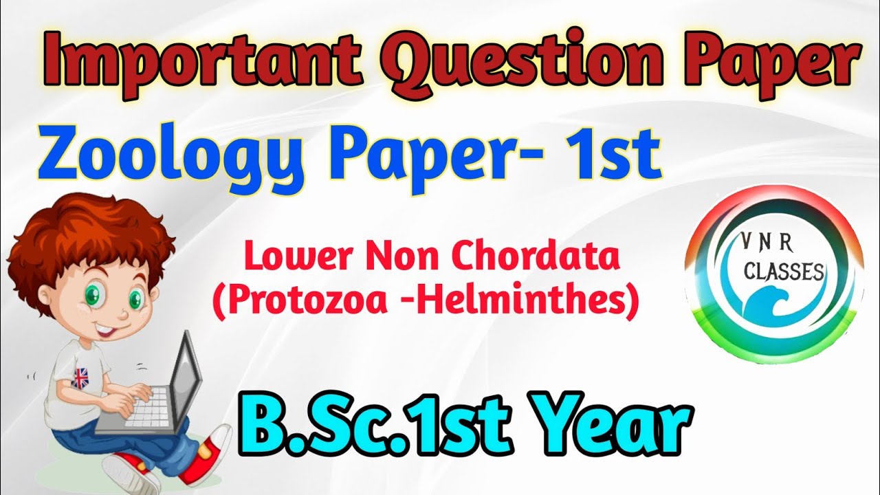 Important question BSc 1st year (Paper first) - YouTube