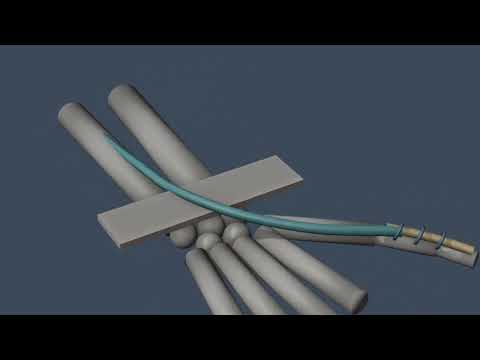 this surgeon was amazed by gpt-6' medical animation capabilities