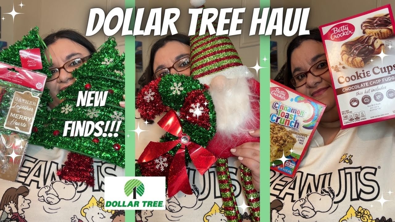 DOLLAR TREE HAUL Dollar Plus Finds l New Items l Brand Name l Christmas ...