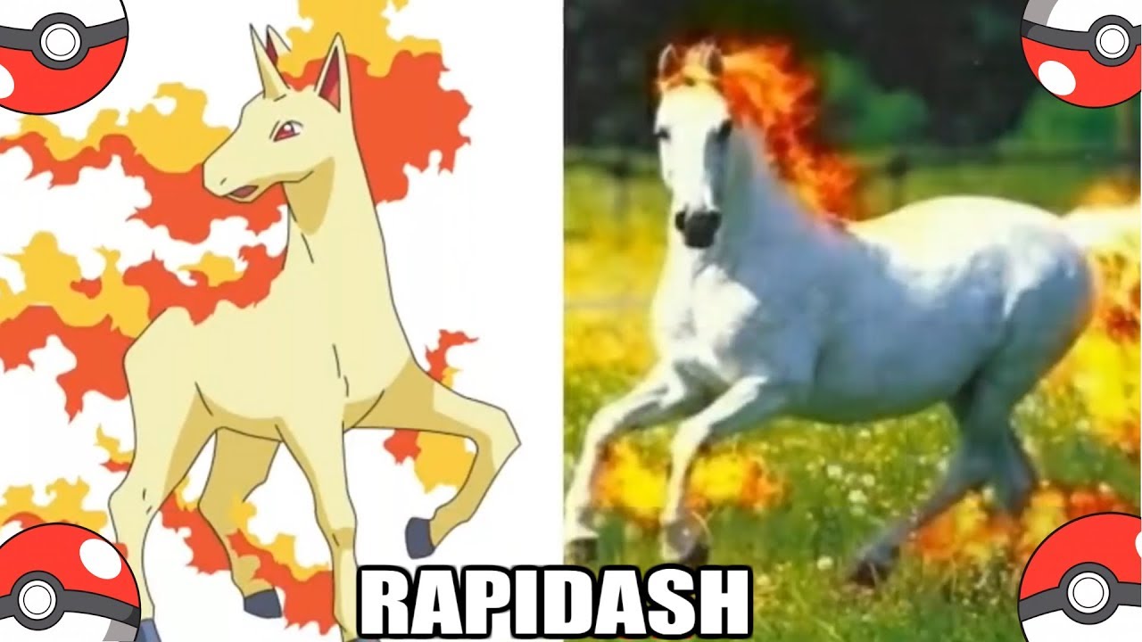 ASÍ son los POKÉMON en la VIDA REAL | POKÉMON IN REAL LIFE - YouTube