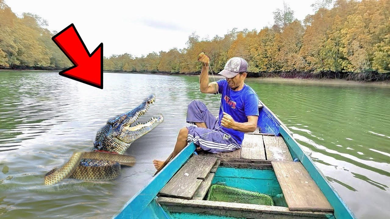 Scariest Crocodile Encounters You Should Avoid Watching - YouTube