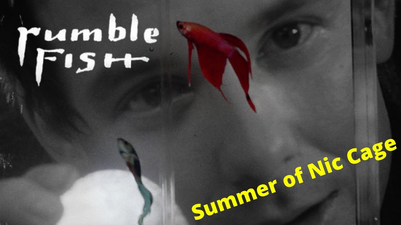 Rumble Fish (1983) Review - First Viewing - Summer of Nic Cage - YouTube