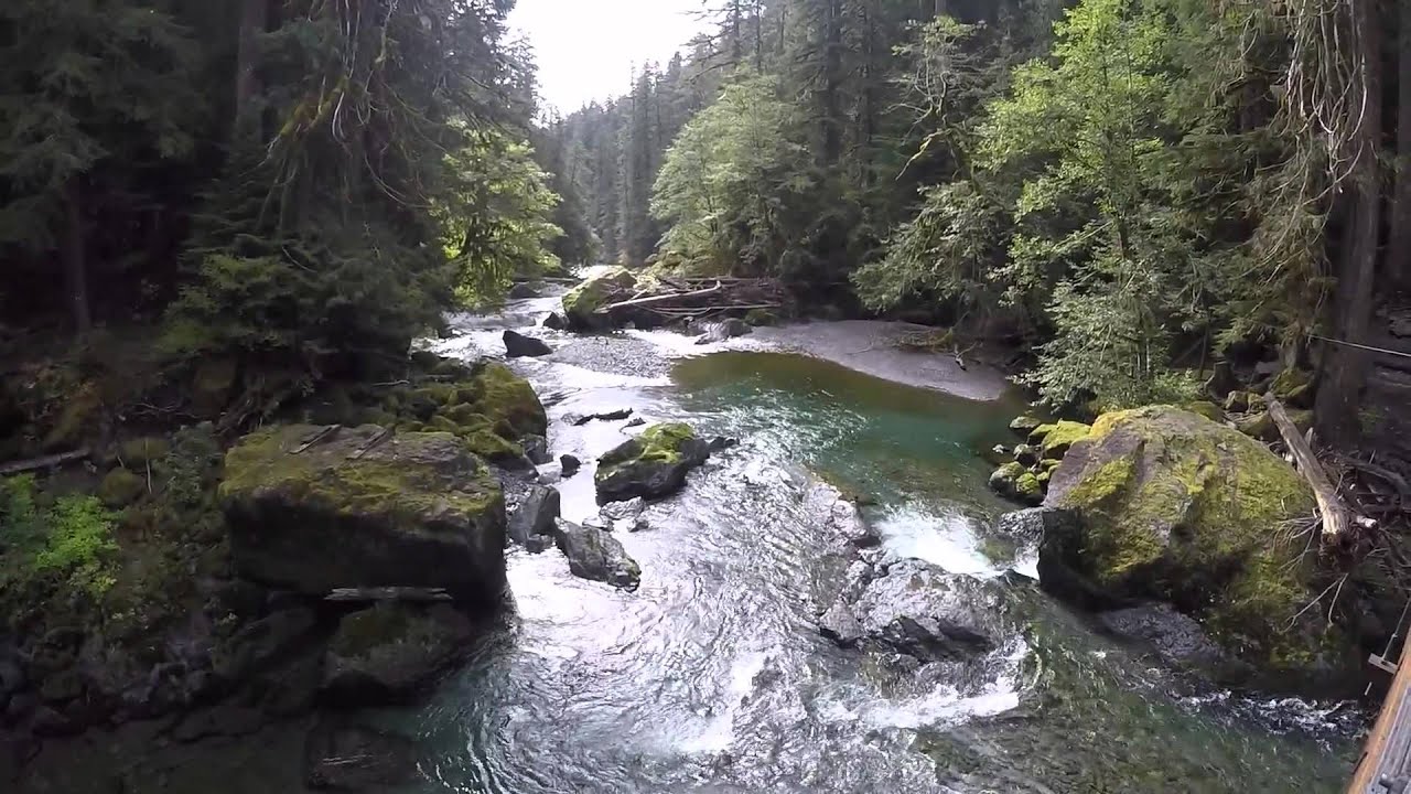 Staircase rapids trail, Olympic National Park - YouTube