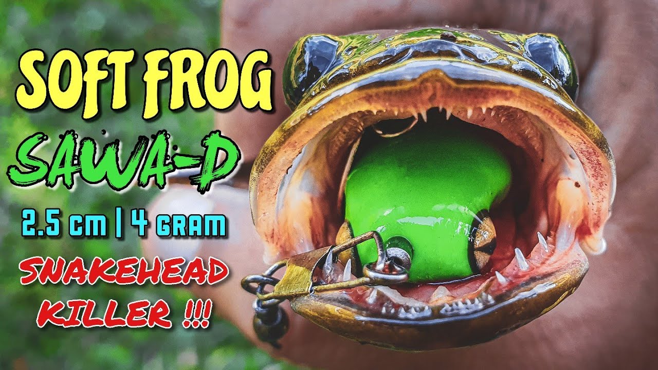 Casting Haruan / Gabus menggunakan Soft Frog SAWA-D 2.5 cm | Ultralight ...