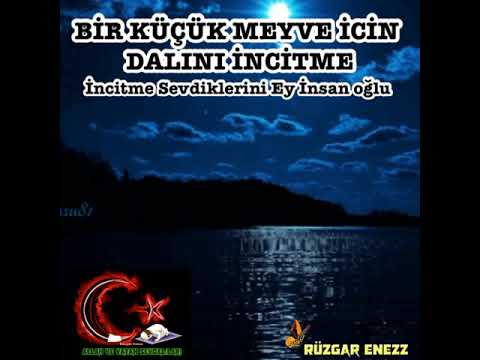 Allah’ın emanetini incitme insan oglu