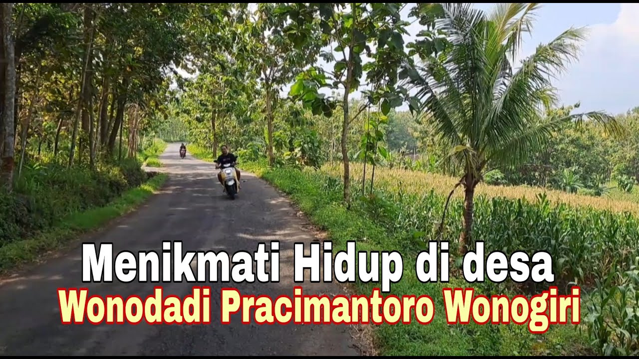 Hidup di Desa Wonodadi Pracimantoro Wonogiri (Bagian 2) - YouTube