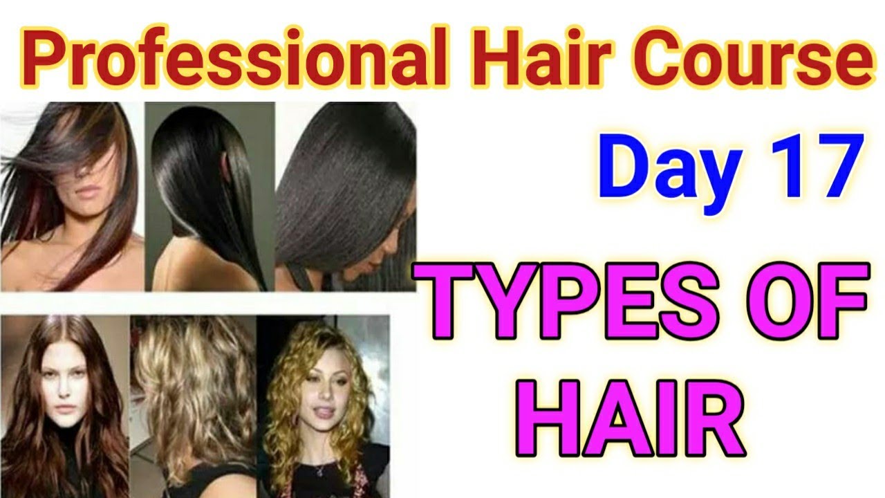 Types of Hair. Hair trichology Part 5 Online Makeup, Hair & skin course ...