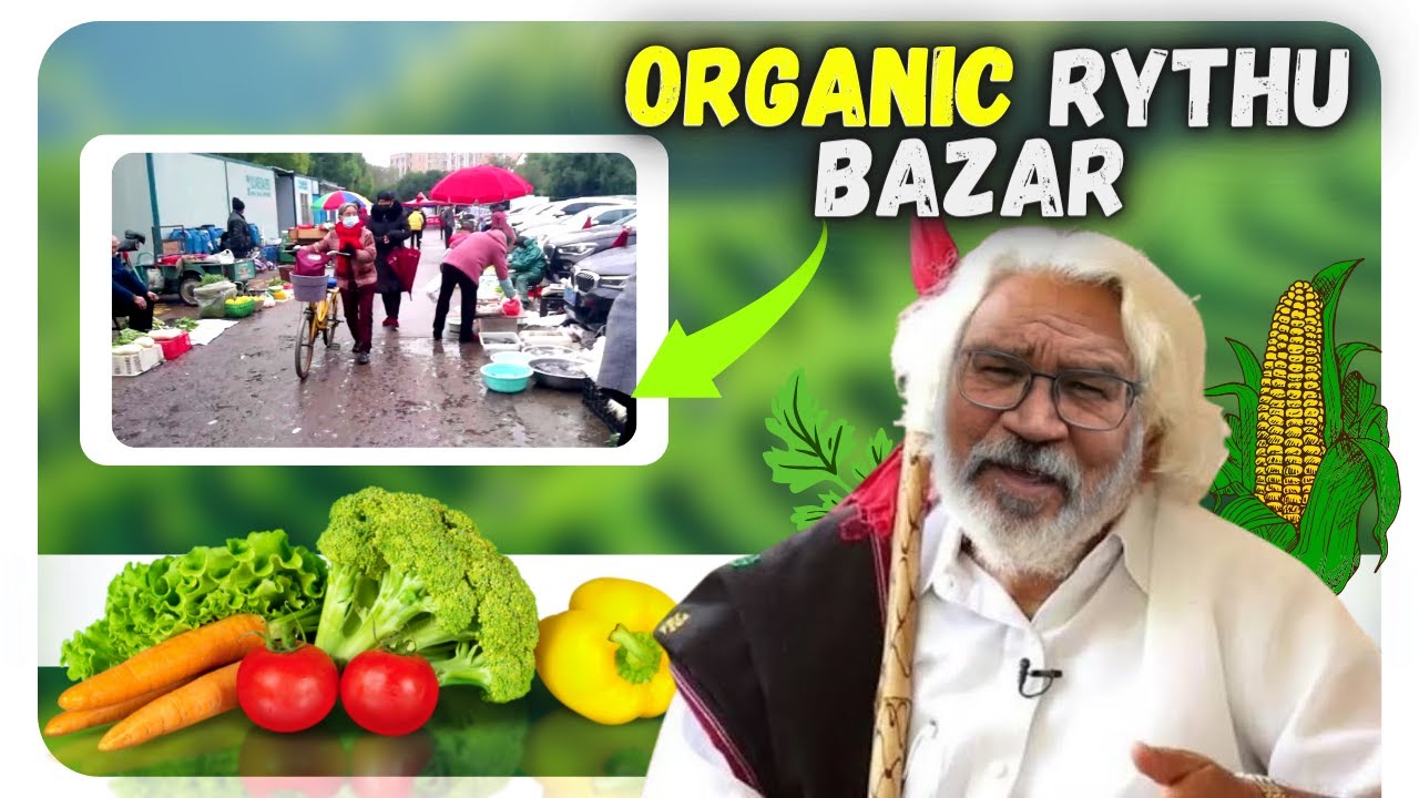 చైనాలో రైతు మార్కెట్ || Rythu Bazar in China || Vinod Vlogs From China ...