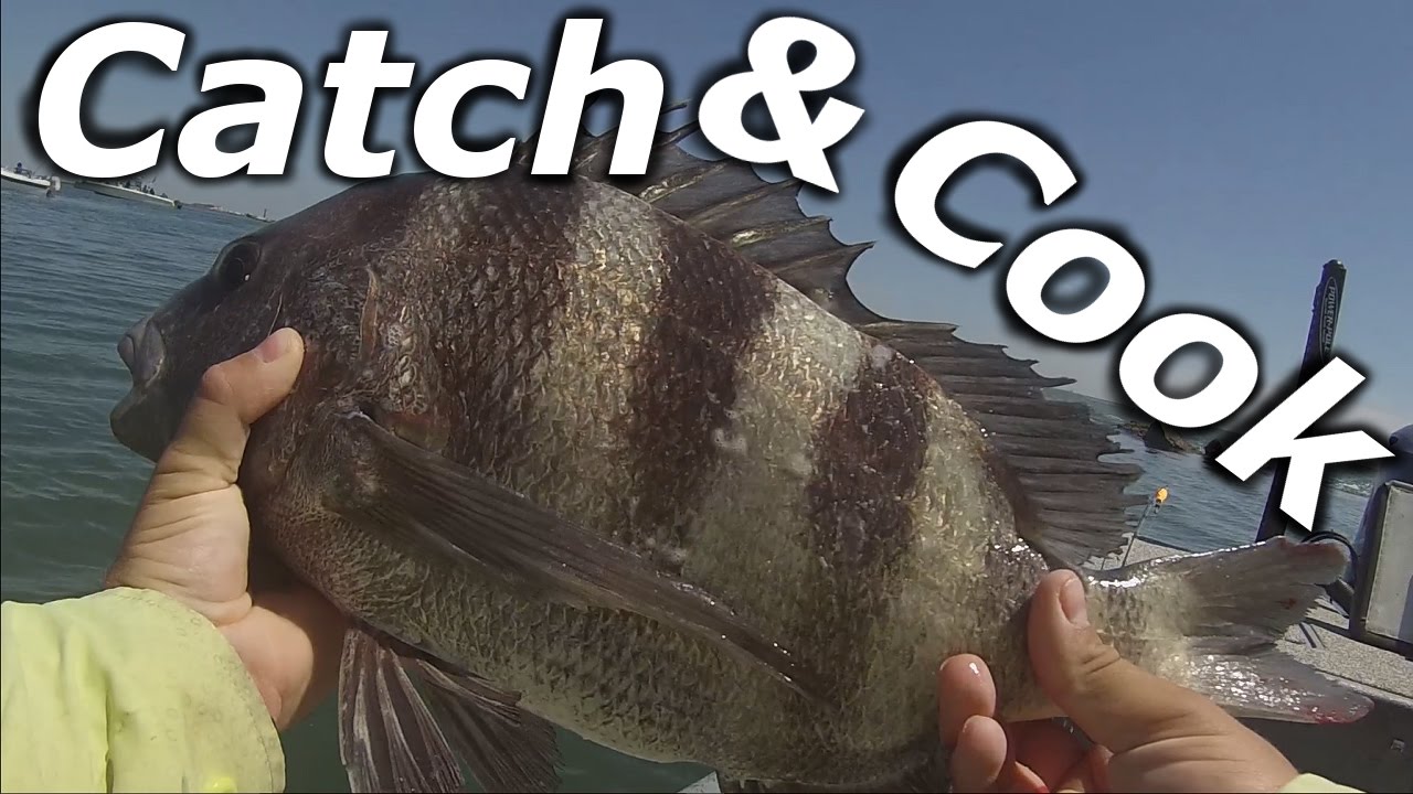 Hushpuppy Fried Fish Catch and Cook! - YouTube