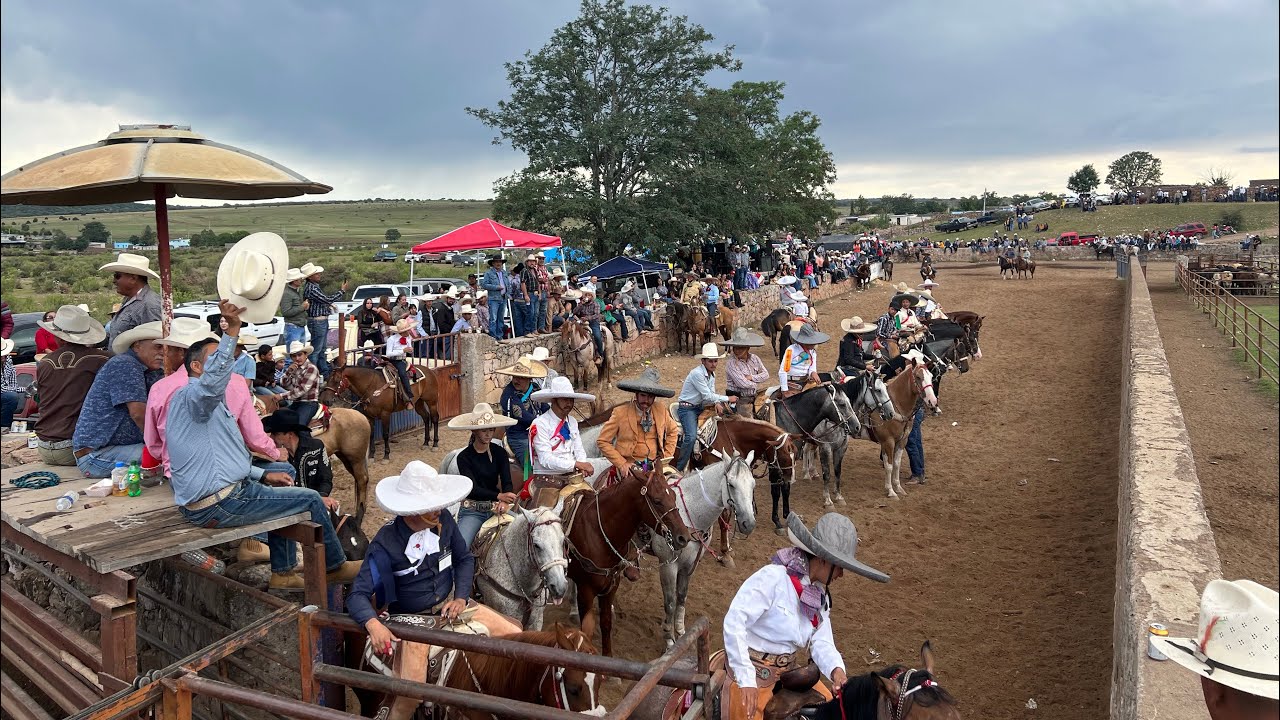 Así son los Coleaderos en Milpillas de la Sierra, Valparaíso, Zac! 🐎🇲🇽 ...