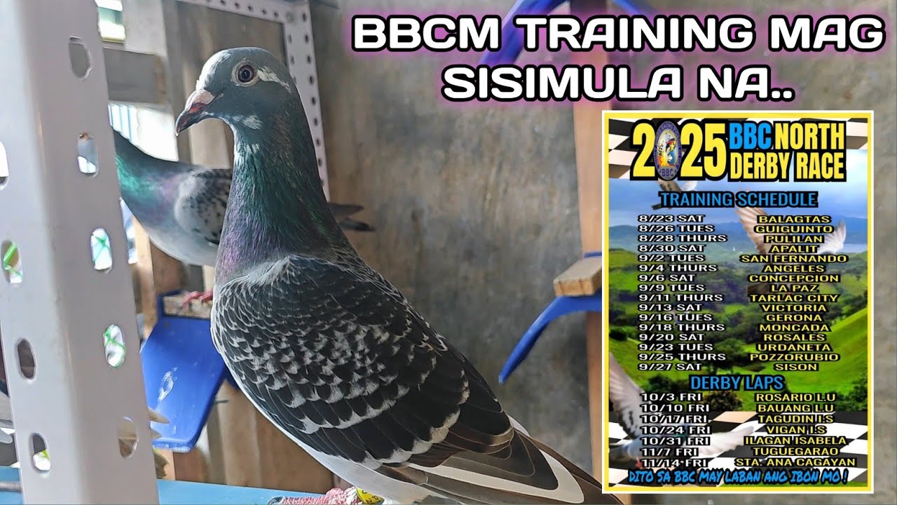 BBCM TRAINING MAG SISIMULA NA.. - YouTube