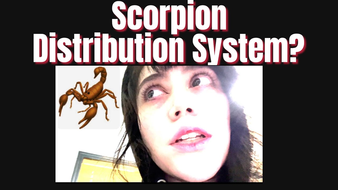 Scorpion Distribution System - YouTube