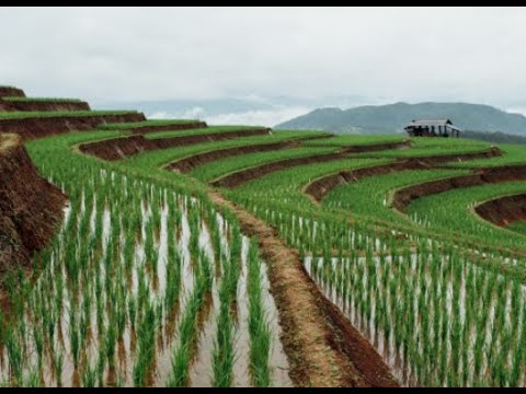 Surface irrigation (8/17) | Land leveling #Agriculture #Equipment # ...