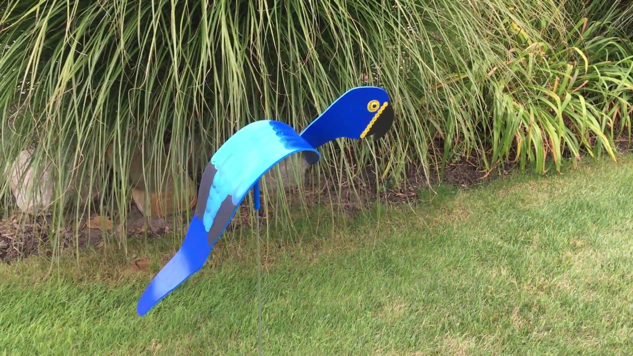 Florida Dancing Birds® Blue Macaw Garden Art - YouTube