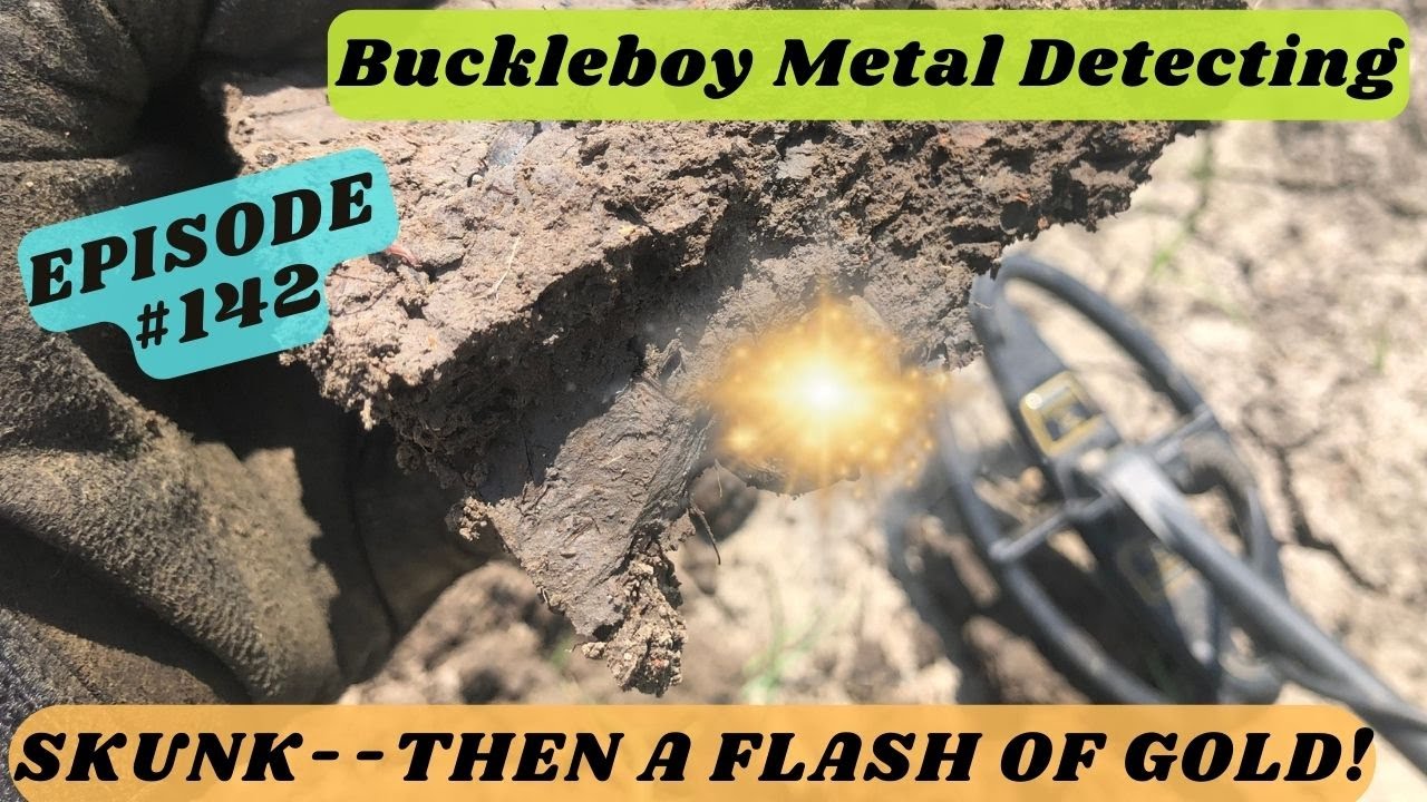 Metal Detecting Episode 142: Skunk then a Flash of GOLD! - YouTube