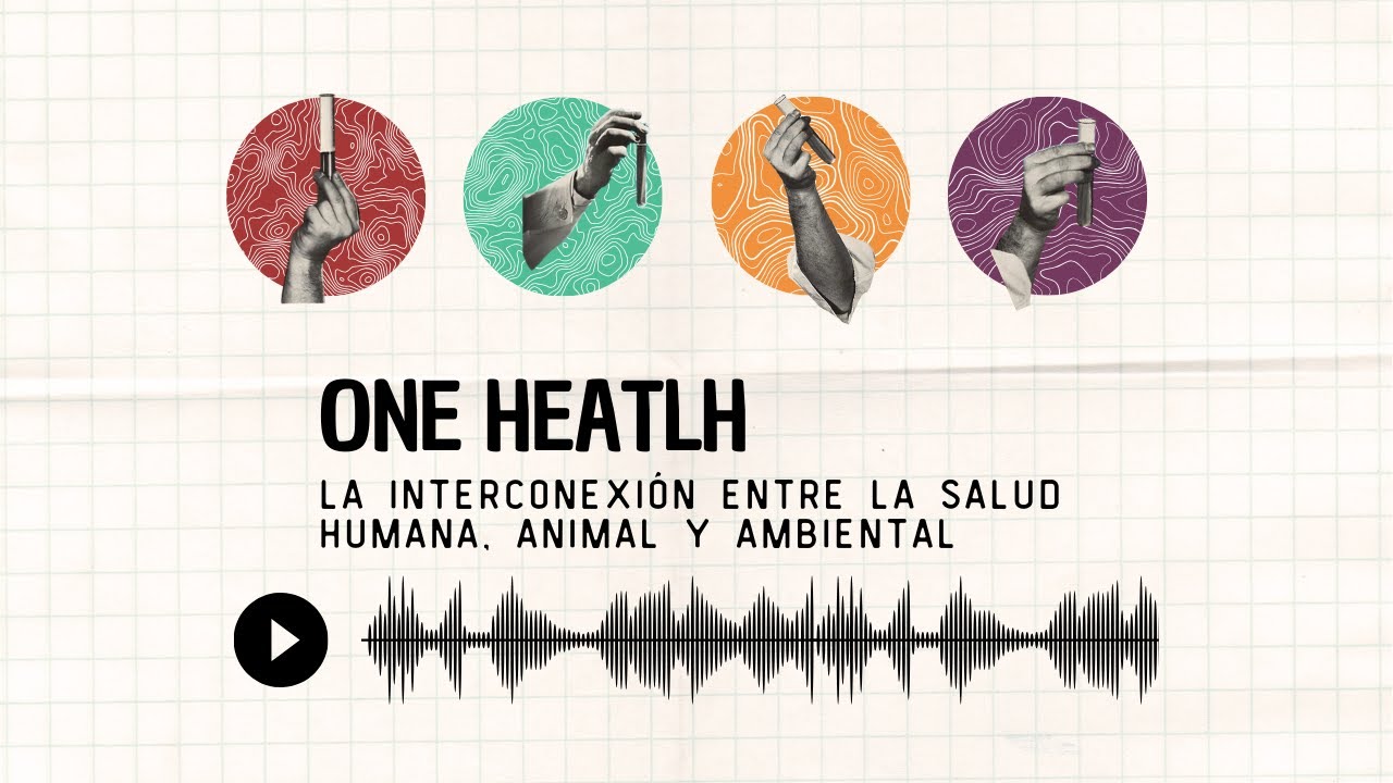 One health: La interconexión entre la salud humana, animal y ambiental ...
