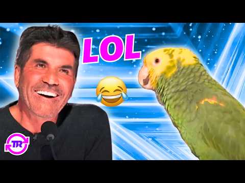 CRAZIEST Animal Acts You'll NEVER See Coming! 😱