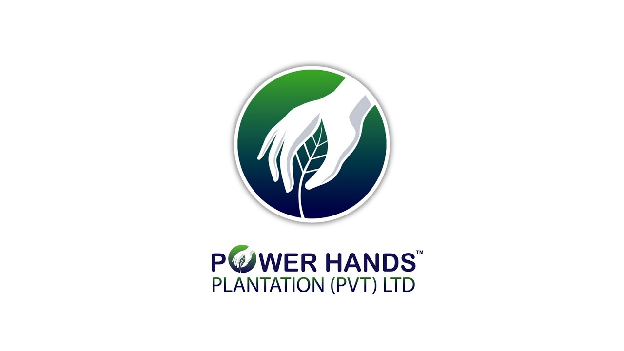 Power Hands Plantation ongoing short-term Cropping Project - YouTube