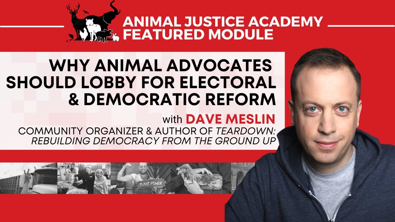 Why Animal Advocates Should Lobby for Electoral & Democratic Reform ...
