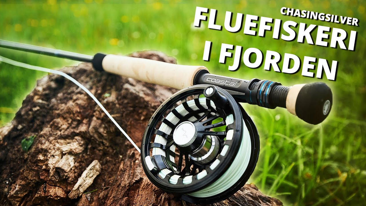 Chasing Silver - Early Summer Fly Fishing For Sea Trout In The Fjord ...