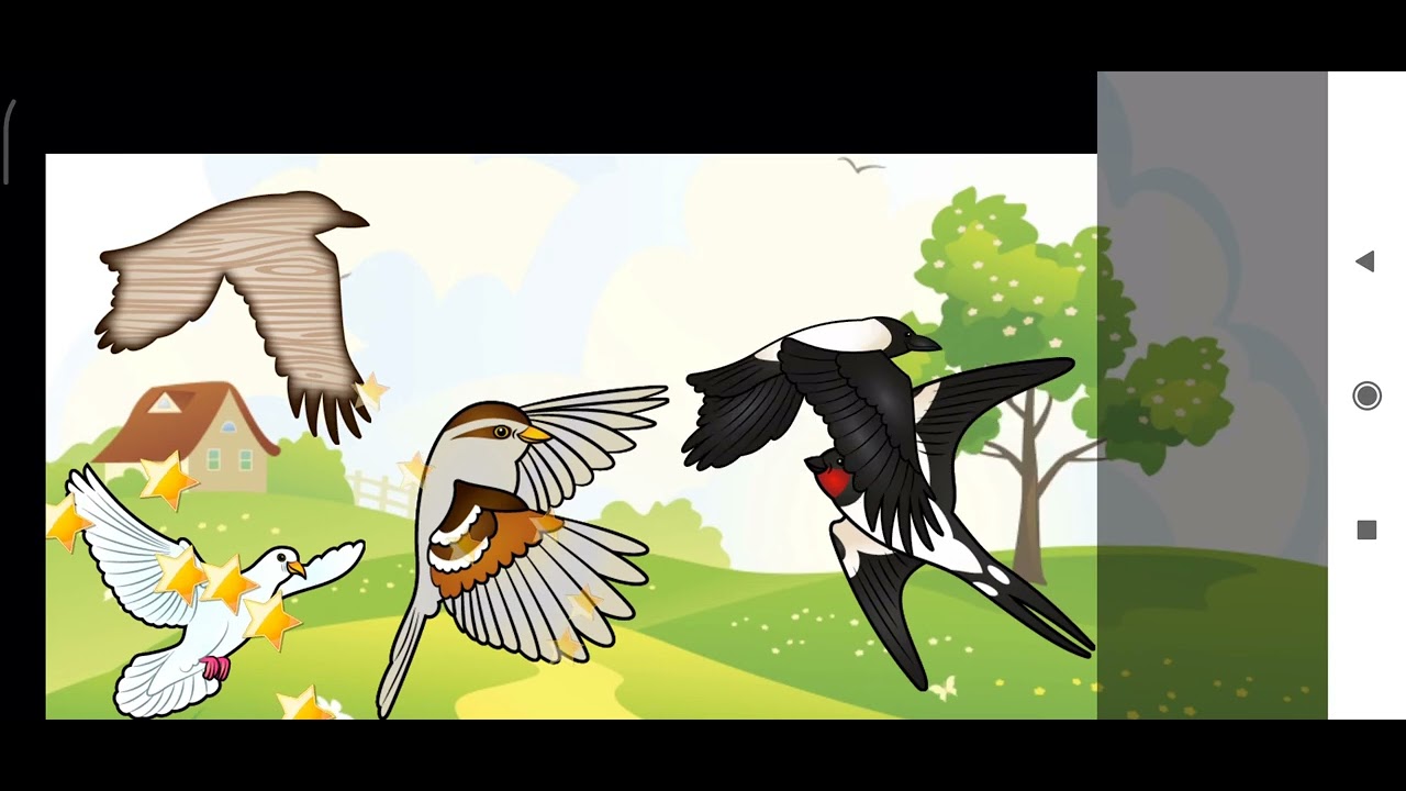 birds 4 part lastok sparrow dove mogik sounds blue bubbles - YouTube