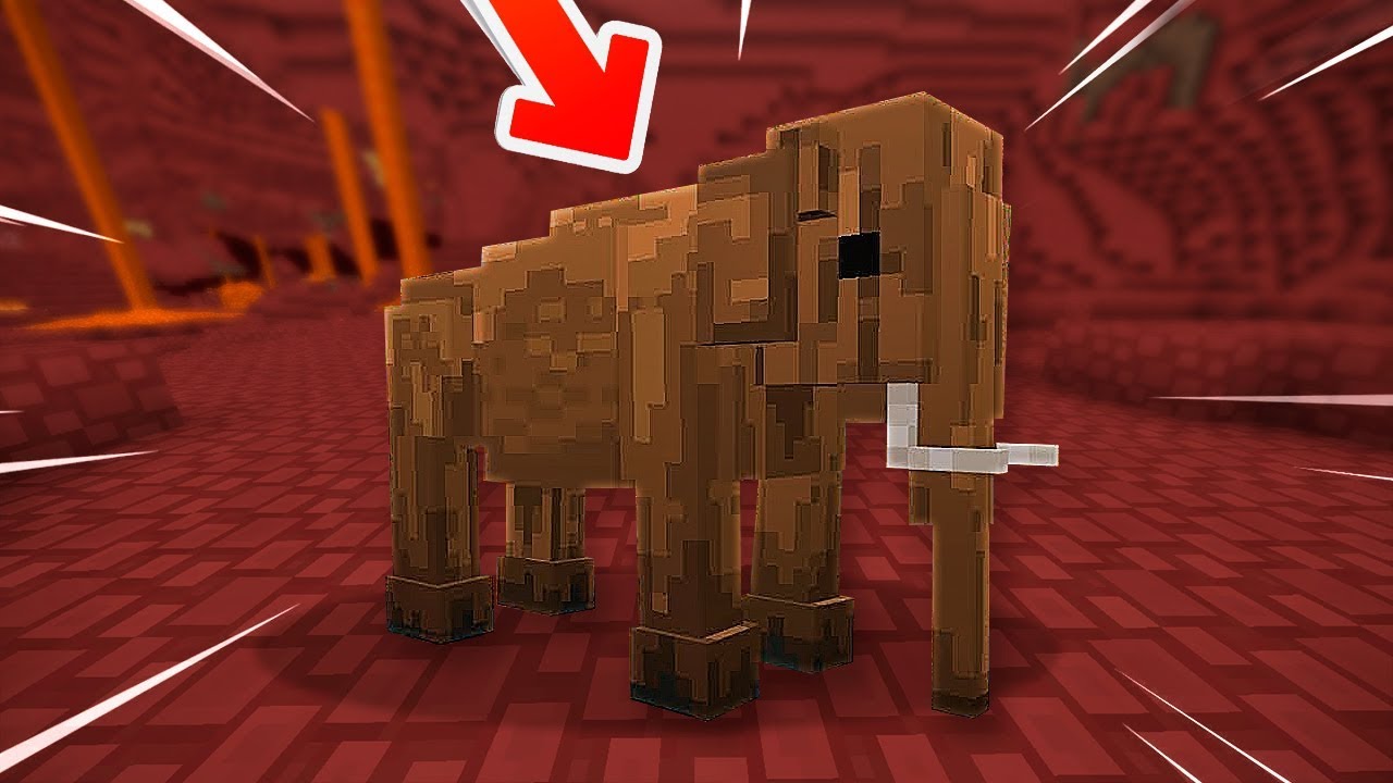 ENCONTRAMOS ELEFANTES en el NETHER?!😱🐘 - Minecraft Survival 1.15 con ...
