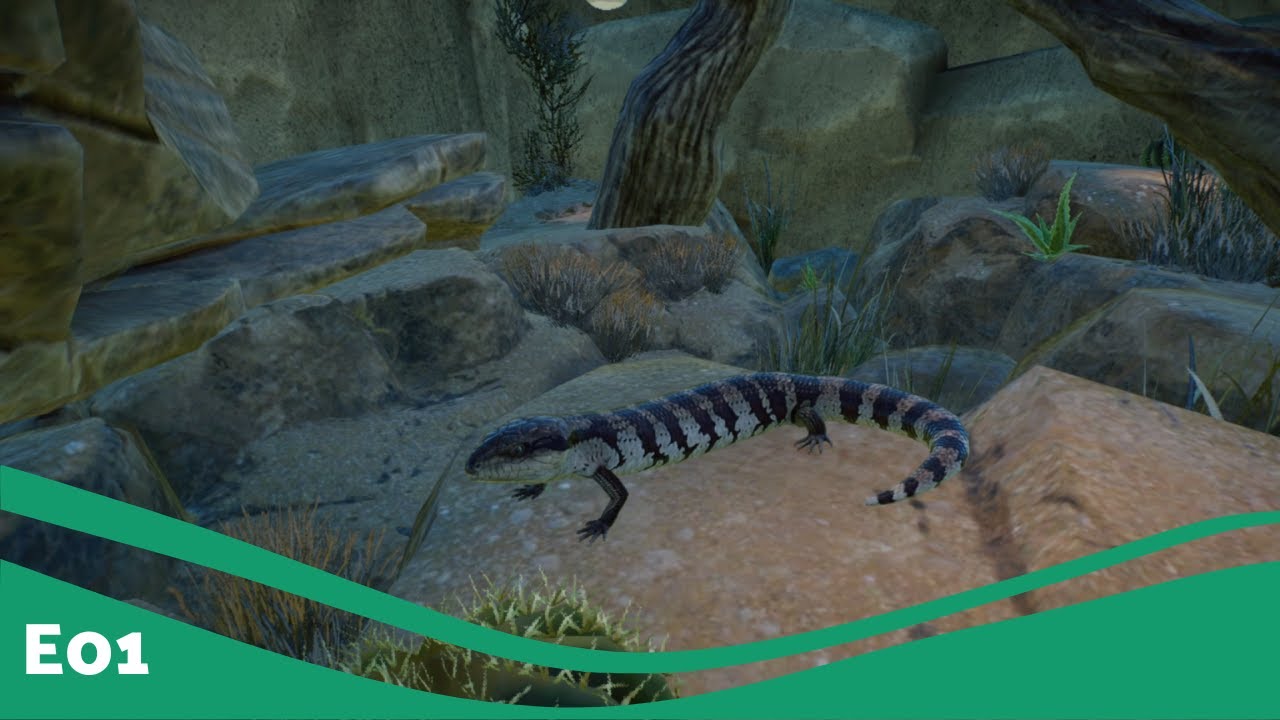 Humble Beginnings! | Wirradale Zoo E01 | Planet Zoo - YouTube