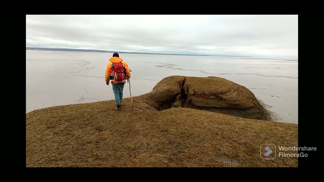 thanks reg for joining us on a search for Dylan Ehler 💙 💚 we found ...
