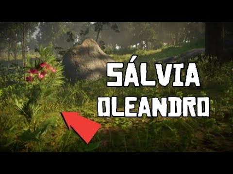SALVIA OLEANDRO LOCALIZAÇÃO Rdr2 Online / Oleander Sage Location Rdr2 ...