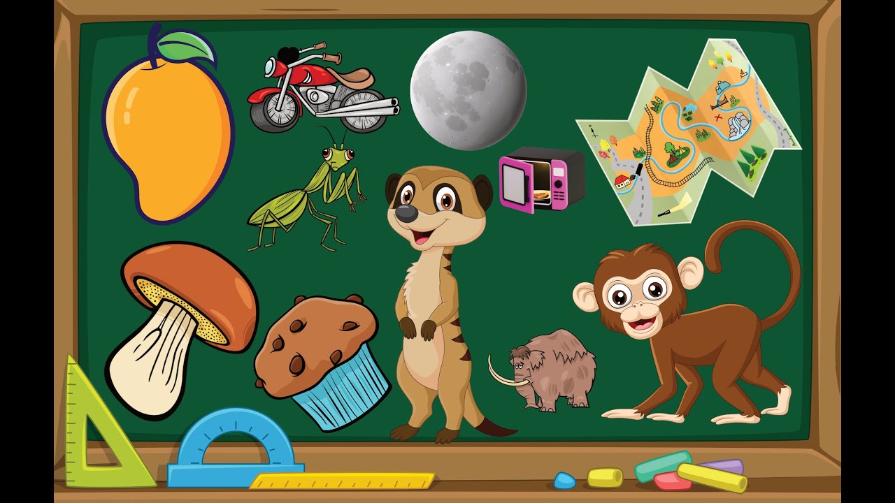 Letter - M - Learn Things and Animals that begin with Letter M ...