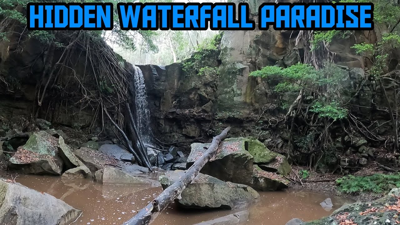 Lockyer Valley Mysterious Waterfalls | Old Hidden Vale Nature Refuge 🇦🇺 ...
