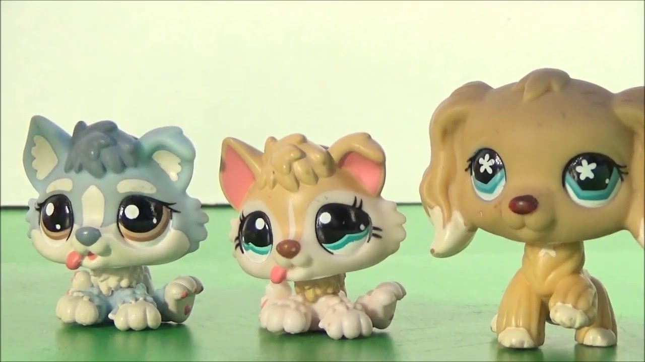 lps Super Power- part 2 )thgir ton s'gnihtemos( - YouTube