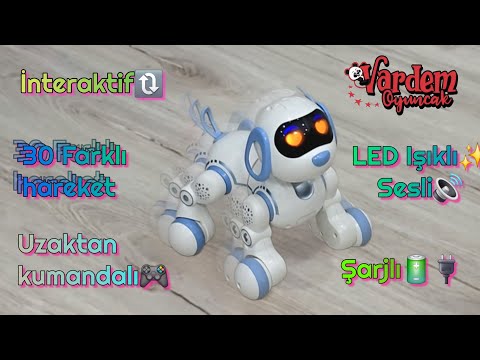 Vardem Uzaktan Kumandalı İnteraktif Şarjlı Akıllı Eğitici Oyuncak Köpek GAW-6601 İncelemesi Gözlem
