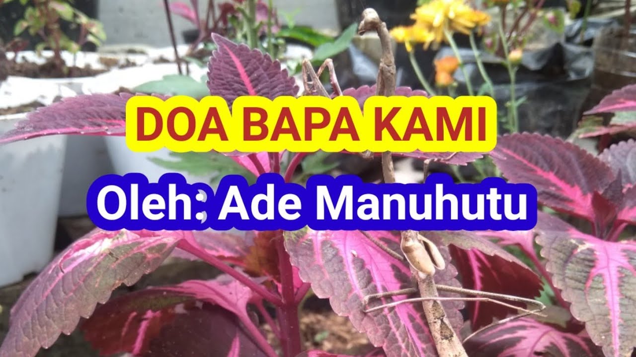 Doa Bapa Kami, oleh Ade Manuhutu Our Father Pray, by Ade Manuhutu - YouTube