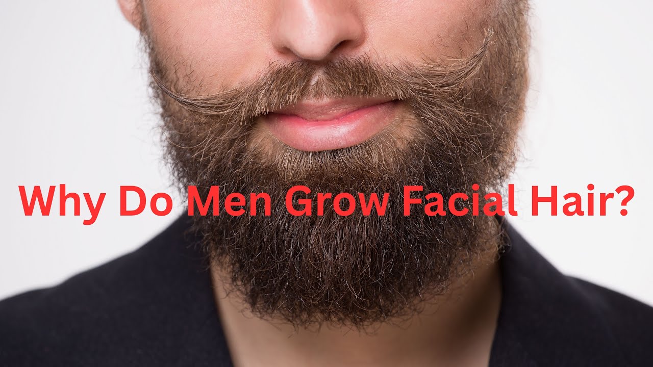 Why Do Men Grow Facial Hair? - YouTube