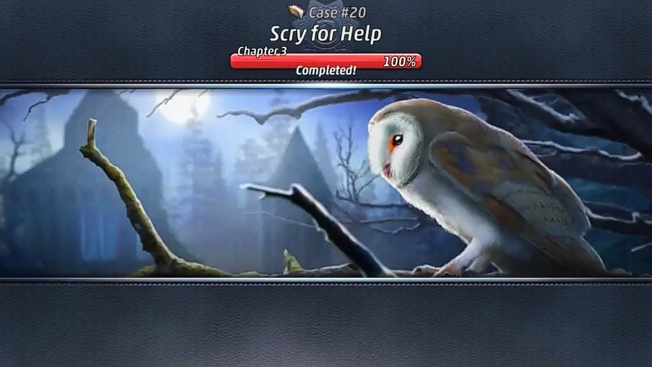 Criminal Case: Supernatural Investigations #20 Scry for Help | Chapter ...