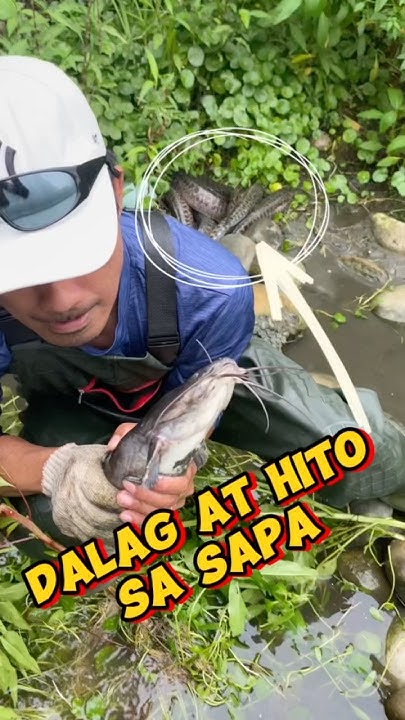 Kay dami ng mga dalag at hito sa sapa na ito panalo😱😱#fishing #amazing - YouTube