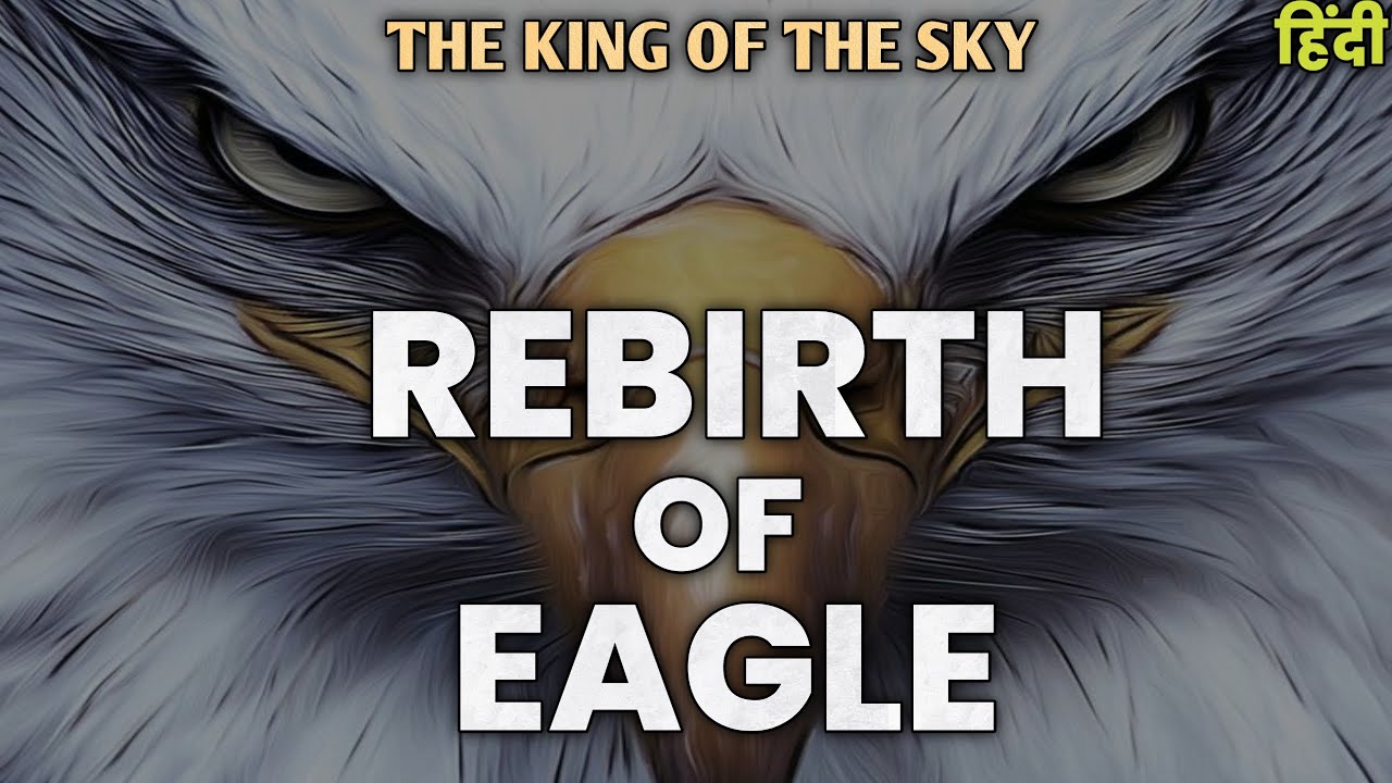 Rebirth Of Eagle | The Power Of Pain | Change For Survival | Best ...