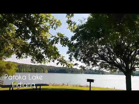 Turkey Vulture Up Close-Patoka Lake - YouTube