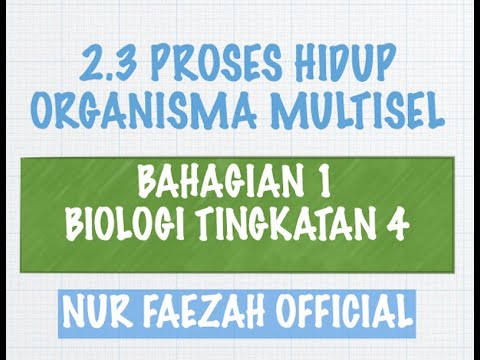 2.3 PROSES HIDUP ORGANISMA MULTISEL (PART 1) | BIOLOGI TINGKATAN 4 KSSM ...