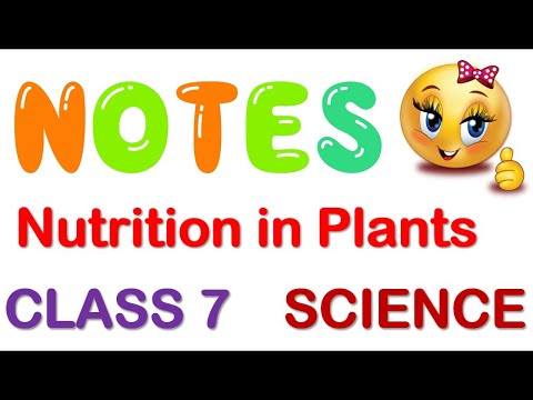 Nutrition in Plants Class 7 | Class 7 Ch - 1 science | Nutrition in ...