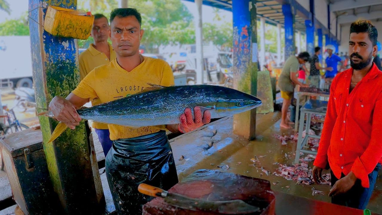Unlocking the Mastery of Rainbow Runner Fish Cutting | Fastest Fish ...
