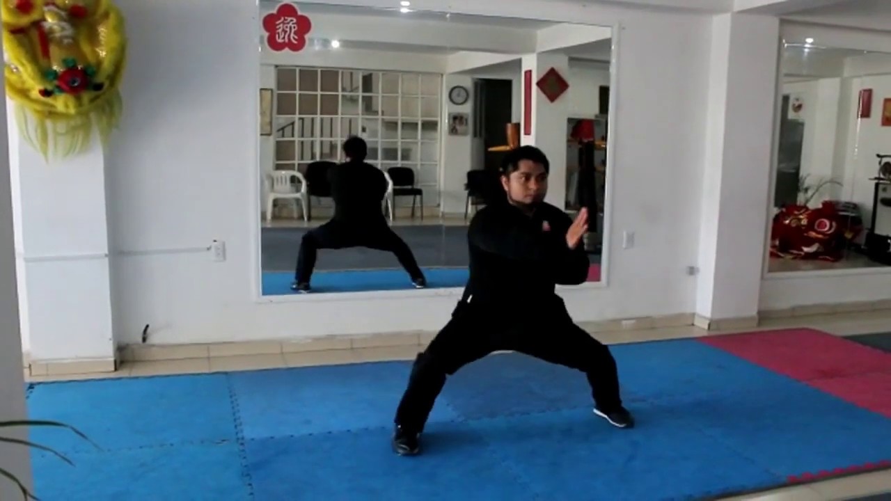 Fu Hok Kung Fu Técnicas y Aplicaciones - YouTube